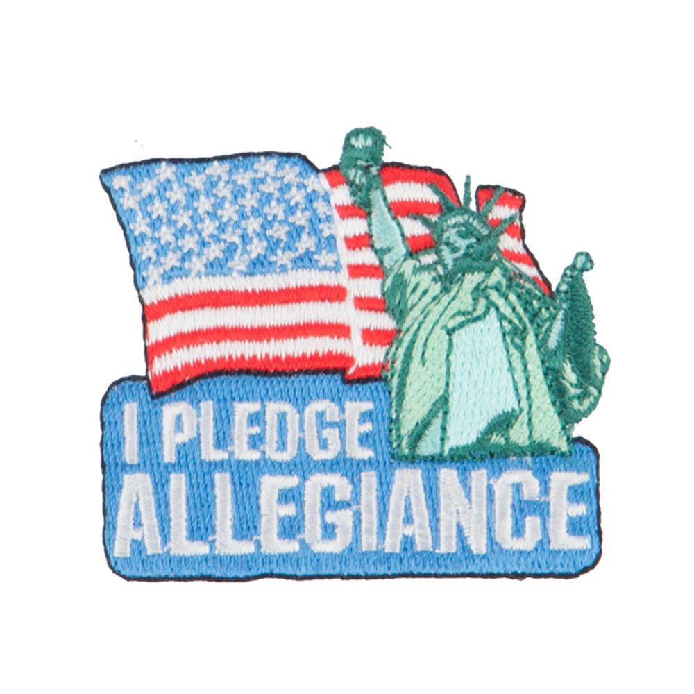 USA Government Embroidered Patch | Enforcement Patch Design | e4Hats ...